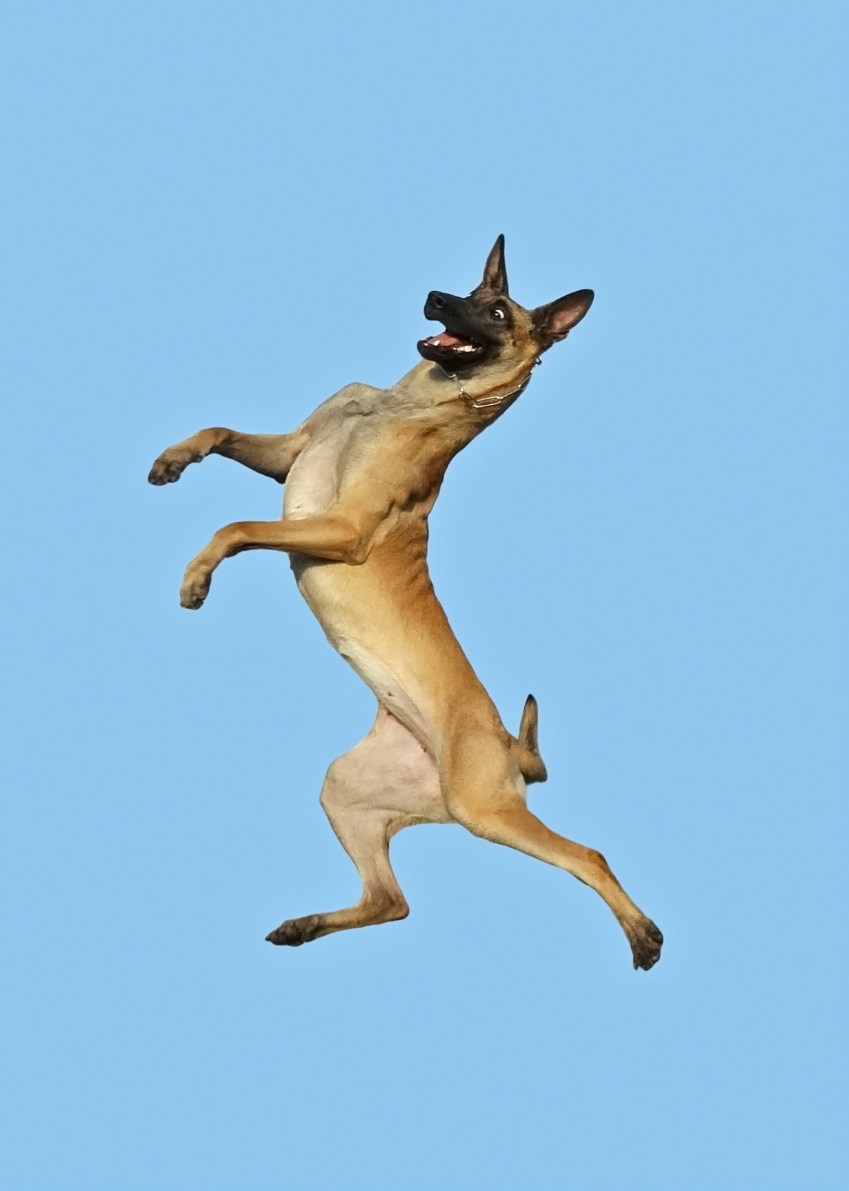 Premium Missions’ winners! | FOAP Community